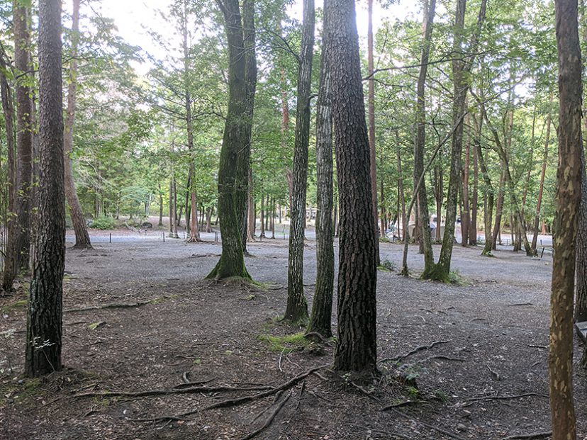 【利用レビュー】べるが尾白の森キャンプ場はファミリーには最高のキャンプ場！ | KAMAKURA CAMP : 鎌倉キャンプ